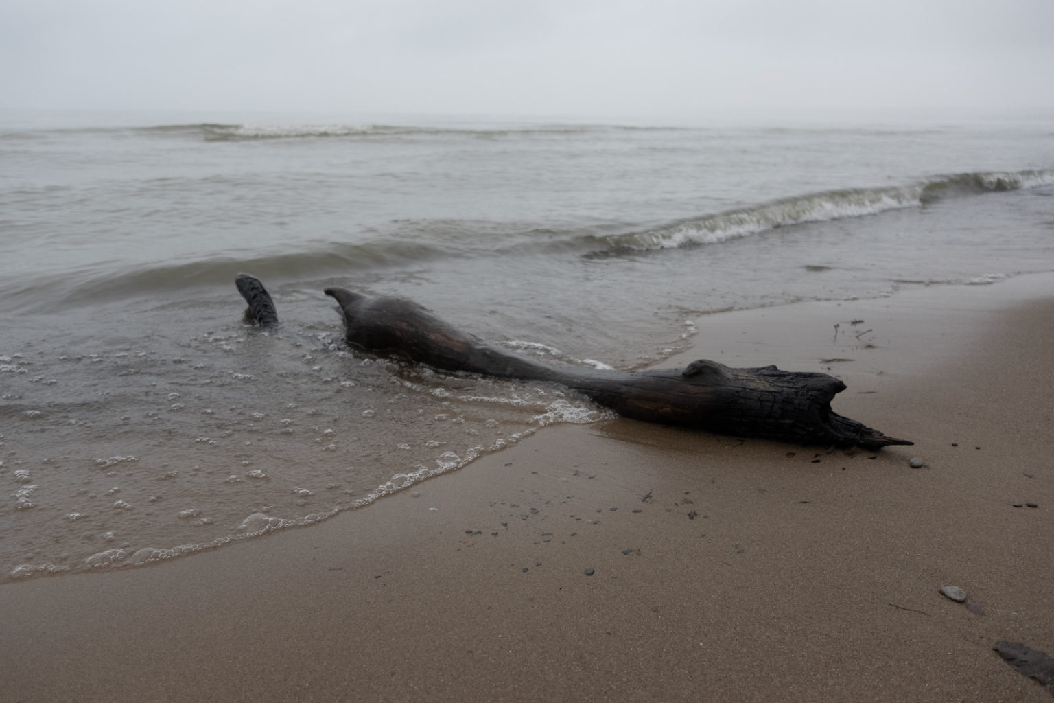 Annuit Coeptis – PopWars