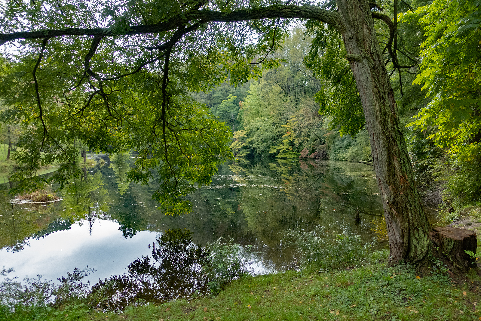 International Break – PopWars